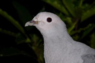 www.Zootierliste.de